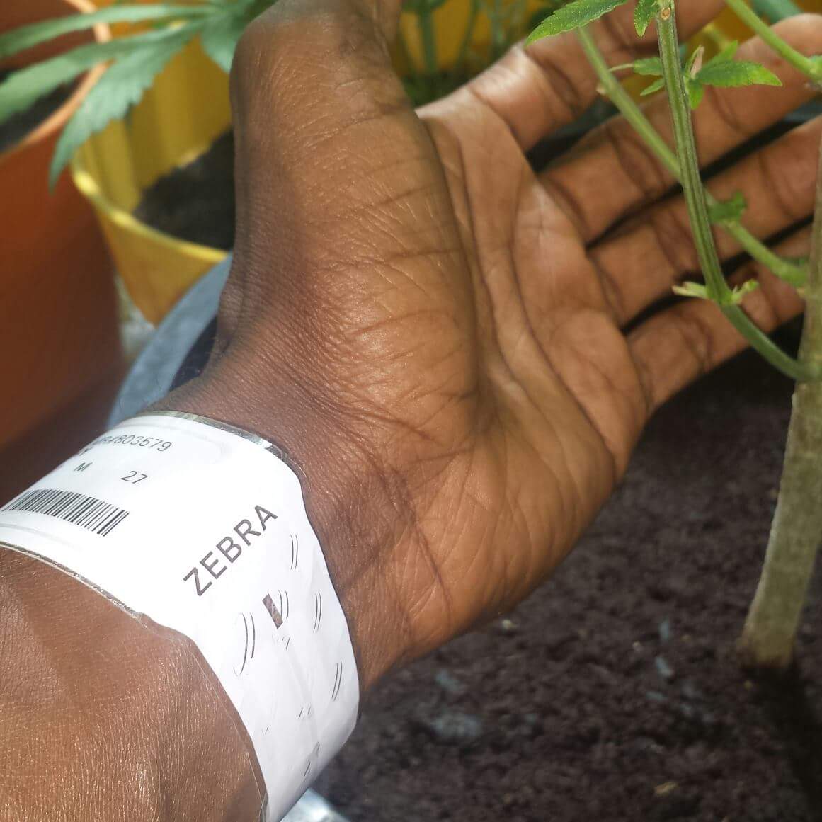 Timothy Eli Addo - INvisible Project